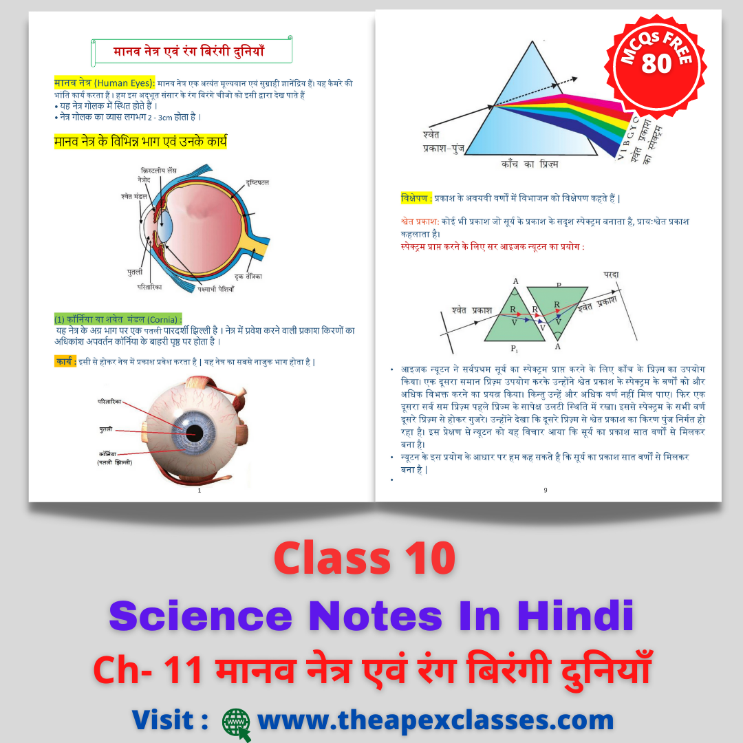 Class 10 Science Chapter 11 APEX