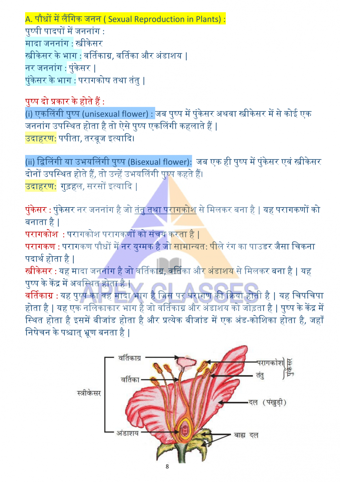 Class 10 Science Biology Notes In Hindi – APEX CLASSES