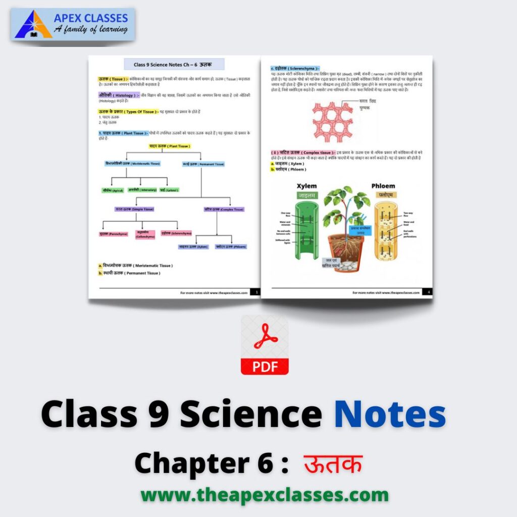Class 9 Science Chapter – 6 Notes In Hindi ऊतक – APEX CLASSES