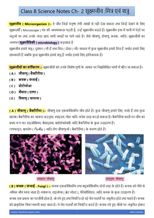 Class 8 Science Notes Chapter – 2 सूक्ष्मजीव :मित्र एवं शत्रु – APEX ...